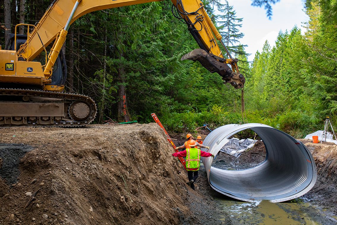 Foresters Restore Pacific Northwest Salmon Habitat | Rayonier Inc.