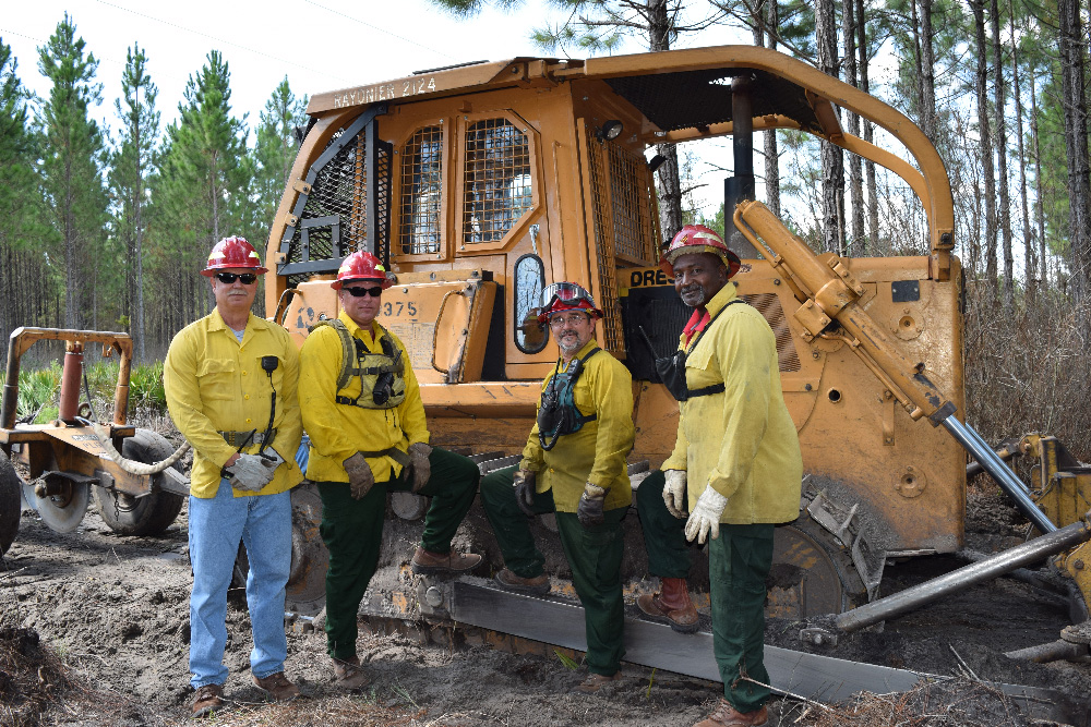 How Forest Rangers Help Prevent Wildfires in Working Forests | Rayonier ...