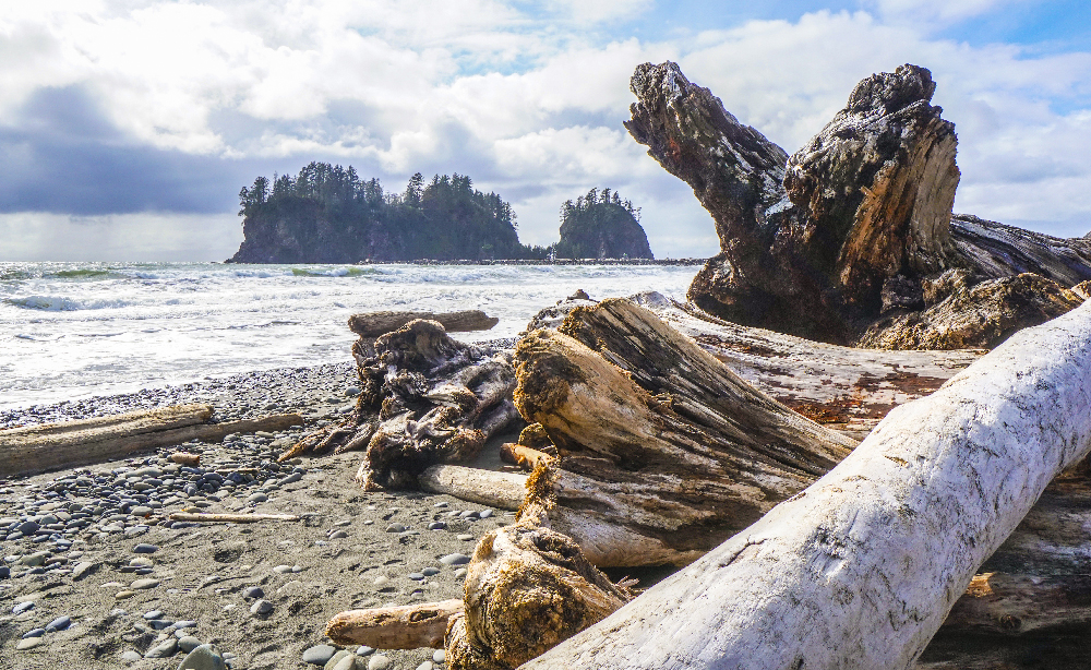 Quileute Tribe Uses the Forest For Ancient Traditions | Rayonier Stories