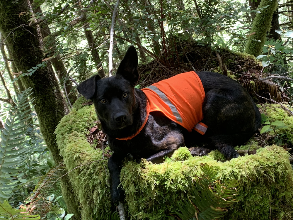 Rayonier Graduate: Forester Vanessa McKinney | Rayonier Stories