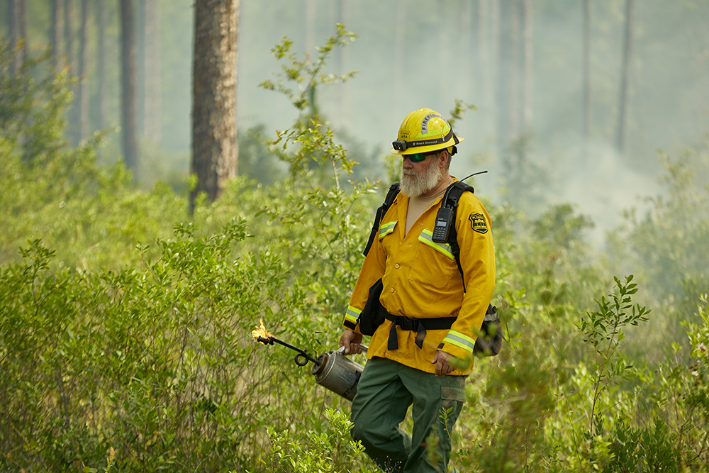 What Is the Florida Forestry Teachers’ Tour? Inside the Experience ...